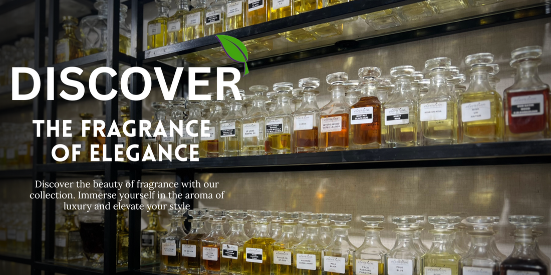 Fragrance Bank – Premium Perfumes & Aromas in Pakistan